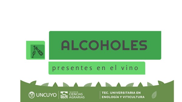 Alcoholes 23 | Genially