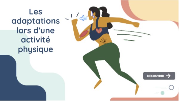 Adaptations physiologiques et métaboliques à l'effort physique | Genially