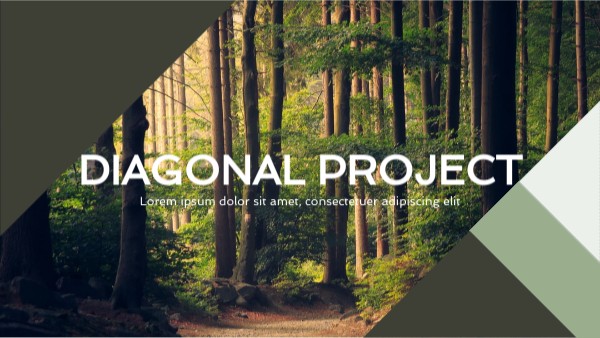 DIAGONAL PROJECT PRESENTATION | Genially