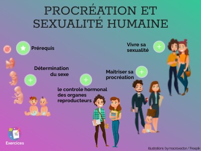 La procréation et la sexualité humaine (modifié) | Genially