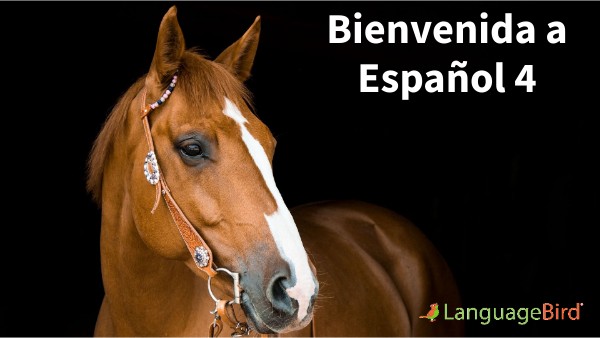 Spanish 4 - Unit 2 | Genially