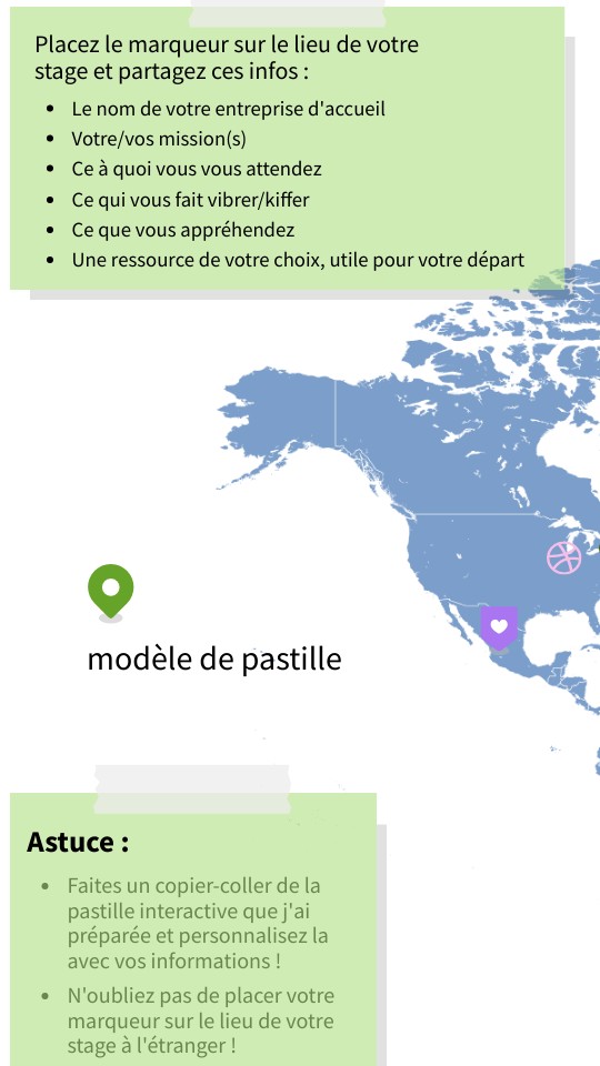 REX - international - AA - 2024