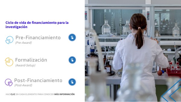 Etapas PRE-AWARD | Genially