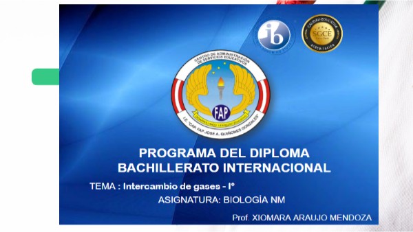 Intercambio de gases | Genially