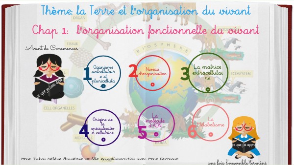 2nde Thème organisation du vivant | Genially