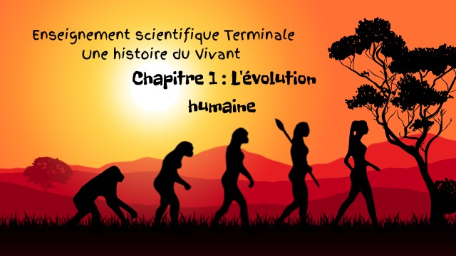 Chap 1 : l'évolution humaine | Genially