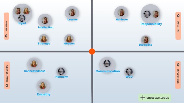 LD Team - team strengths