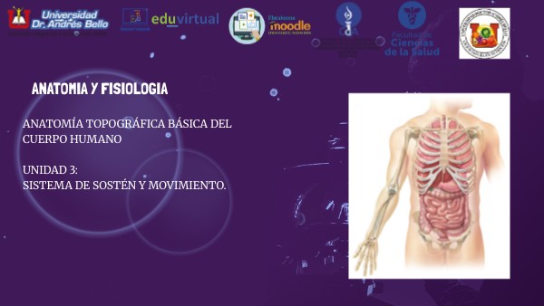 ANATOMÍA TOPOGRÁFICA BÁSICA DEL CUERPO HUMANO CLASE 4 | Genially