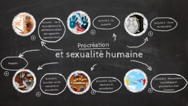 Procréation seconde | Genially