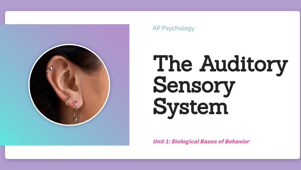Auditory Sense | Genially