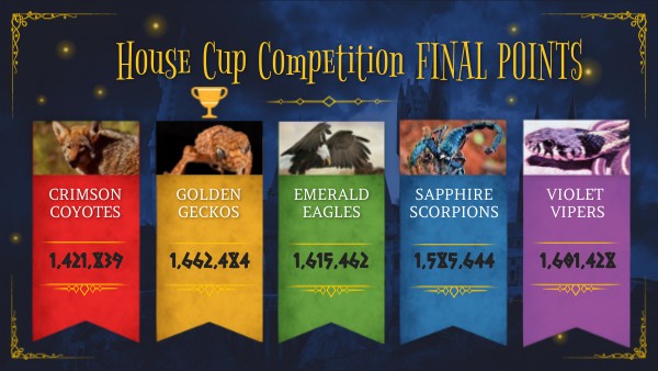 House Cup Board 2024-2025