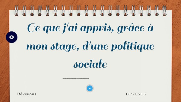 Révision Politique sociale ESF2 | Genially