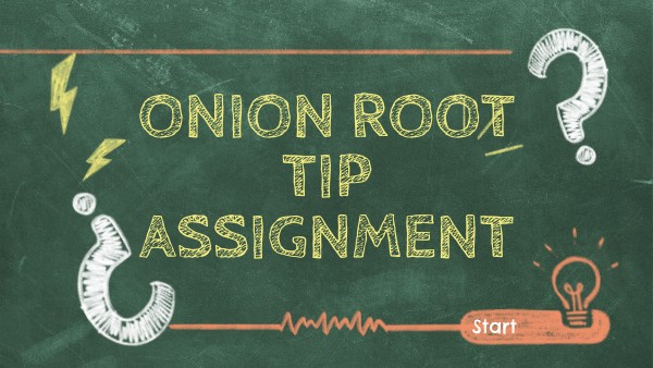 Mitosis Onion Root Tip | Genially