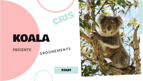 koalas | Genially