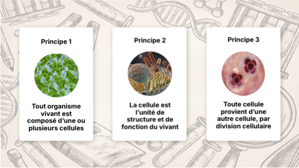 La théorie cellulaire | Genially
