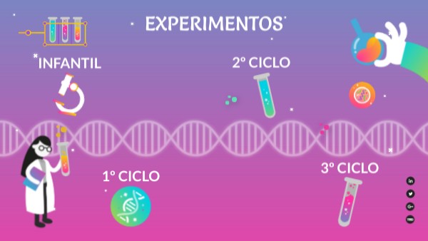 Experimentos