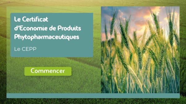 Les CEPP