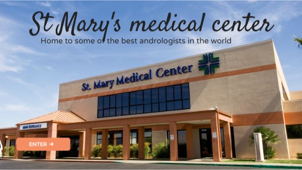 Ch2 Male reproductive system | Genially