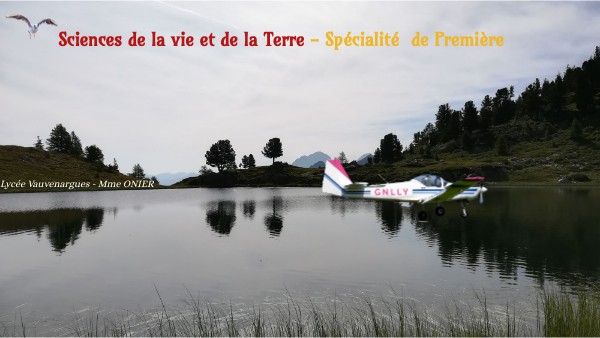 Première spé - Onier-2023 | Genially