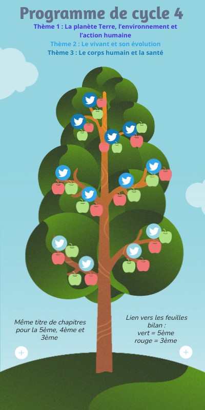 Programme cycle 4 | Genially