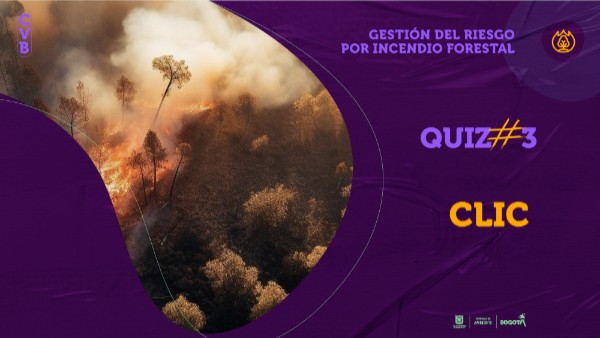 QUIZ Módulo 3 | Genially