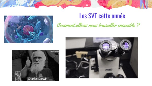 Présentation SVT 2024-25