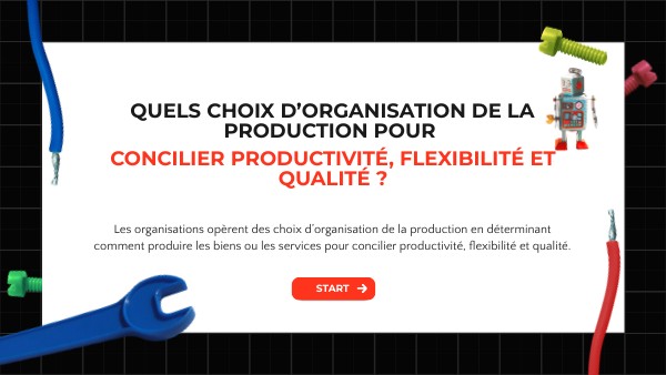 Quels choix d’organisation de la production ? | Genially