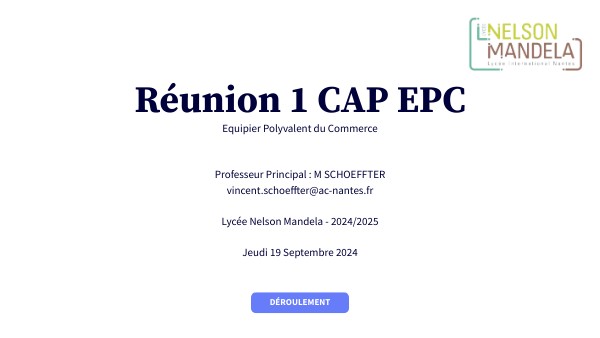 Copie - BASIC PRESENTATION | Genially