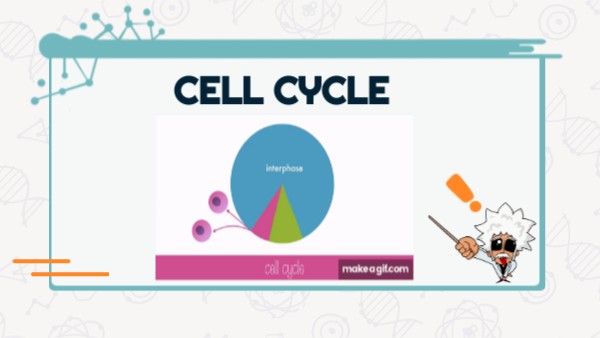 CELL CYCLE G8