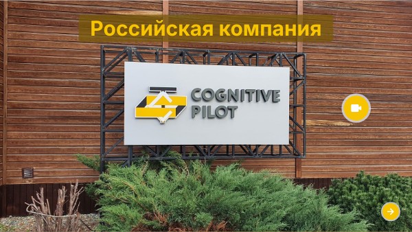 Российская компания Cognitive Pilot