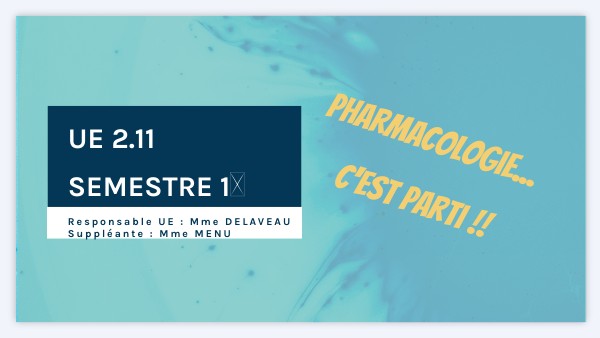 Présentation UE 2.11 S1 | Genially