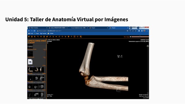 PRESENTACIÓN TALLER DE ANATOMIA | Genially
