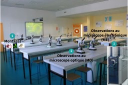 Copie - TP1 Cellules et microscopie