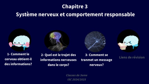 Le système nerveux : Organisation et fonctionnement | Genially
