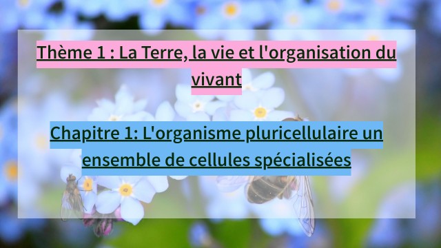 L'organisation du vivant | Genially