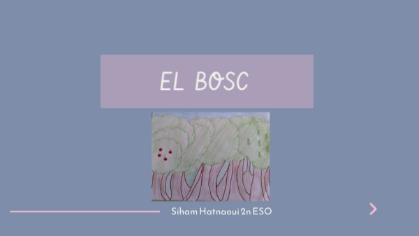 El bosc
