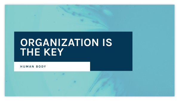 3º ESO Unit 1: Levels of organization | Genially