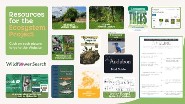 Resources for the Ecosystem Project | Genially