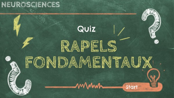 Quizz 01 - Rappels | Genially