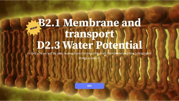 B2.1 Membrane and Transport | Genially