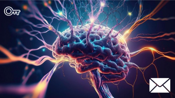 C4-T2-S5-Le fonctionnement du système nerveux