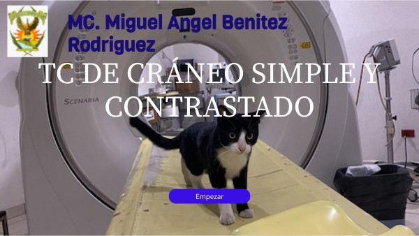 PROTOCOLO DE CRANEO SIMPLE Y CONTRASTADO | Genially