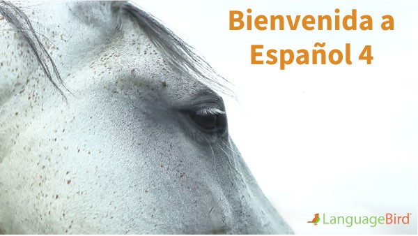 Spanish 4 - Unit 1 | Genially