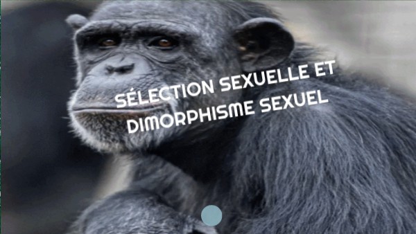 TD sélection sexuel | Genially