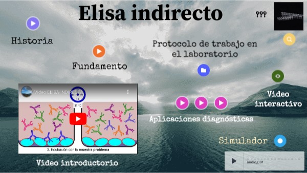 Elisa indirecto | Genially