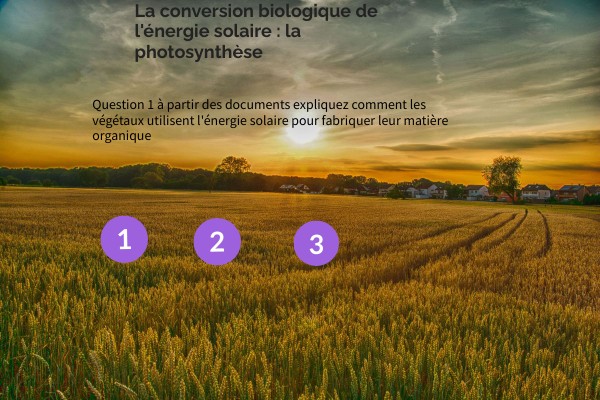 Copie - Image interactive | Genially