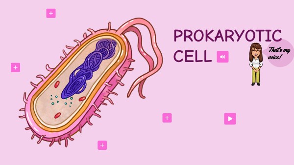 TYPES OF CELLS | Genially