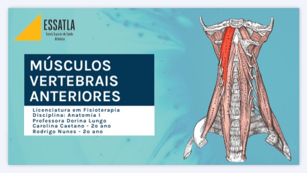 Anatomia I - Músculos Vertebrais Anteriores do Pescoço | Genially
