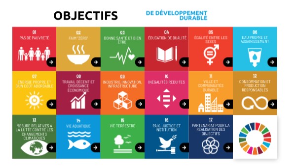 Plan d'action EFB | Genially