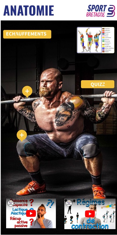 ANATOMIE BPJEPS | Genially